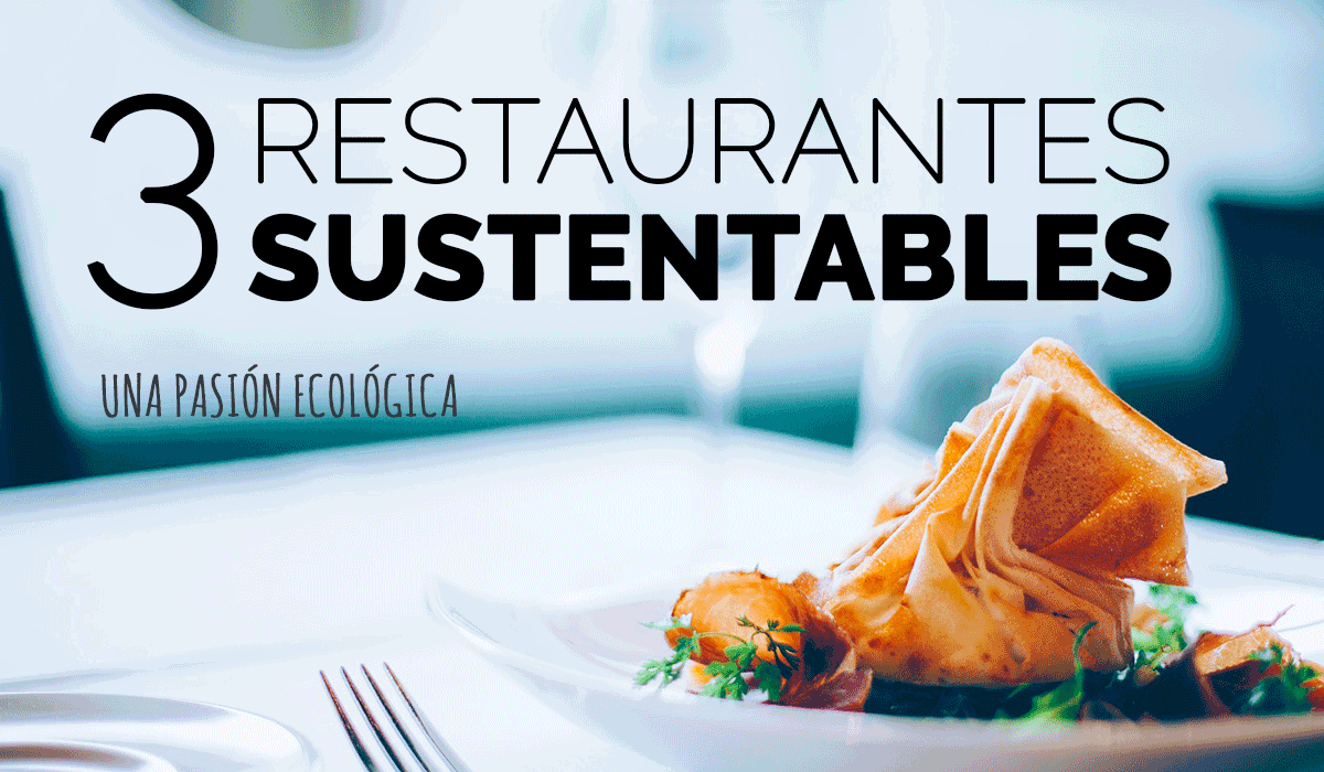 Restaurantes sustentables - una historia de los 3 mejores del mundo